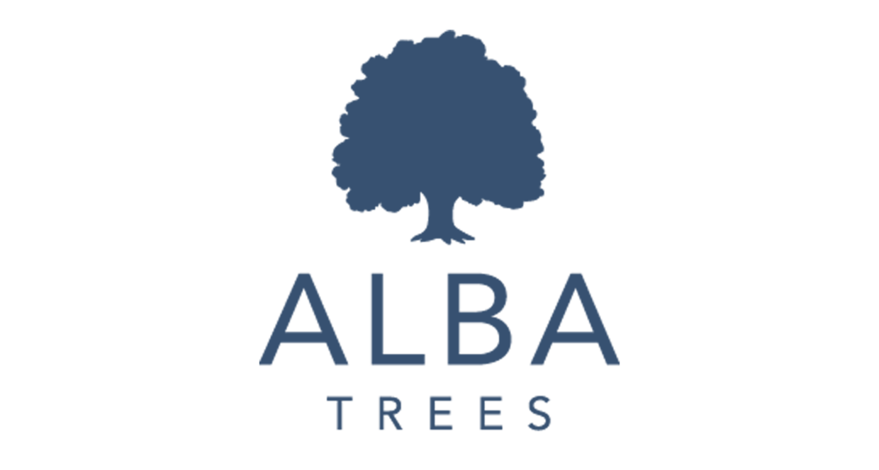 Alba Trees + Order Desk - Order Desk